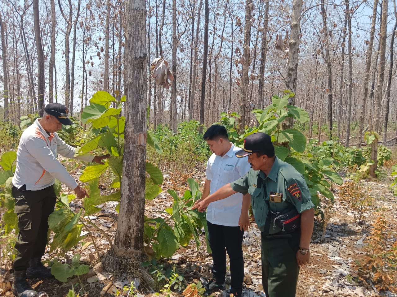 Mengadakan Uji Petik Monitoring Dan Evaluasi RTT Dinas Kehutanan ...